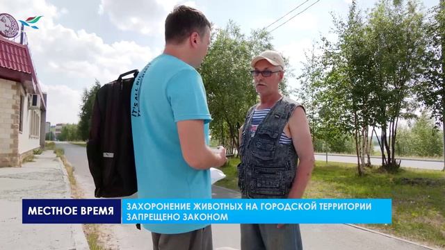 В Надыме планируют убрать несанкционированное кладбище для домашних животных