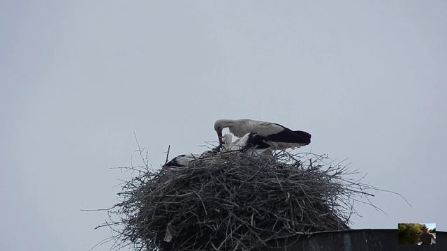 Природа. Походы.