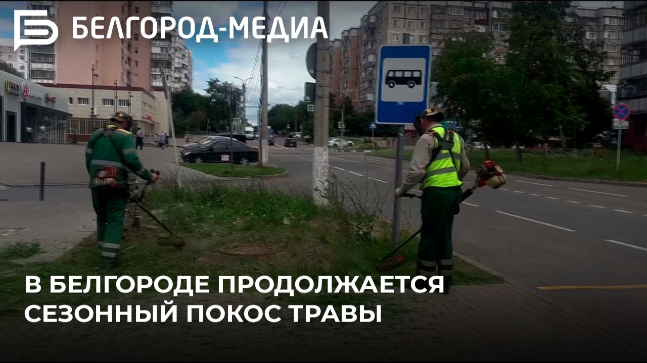 В Белгороде продолжается сезонный покос травы