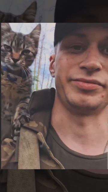 Военный кот, с другом, передают привет