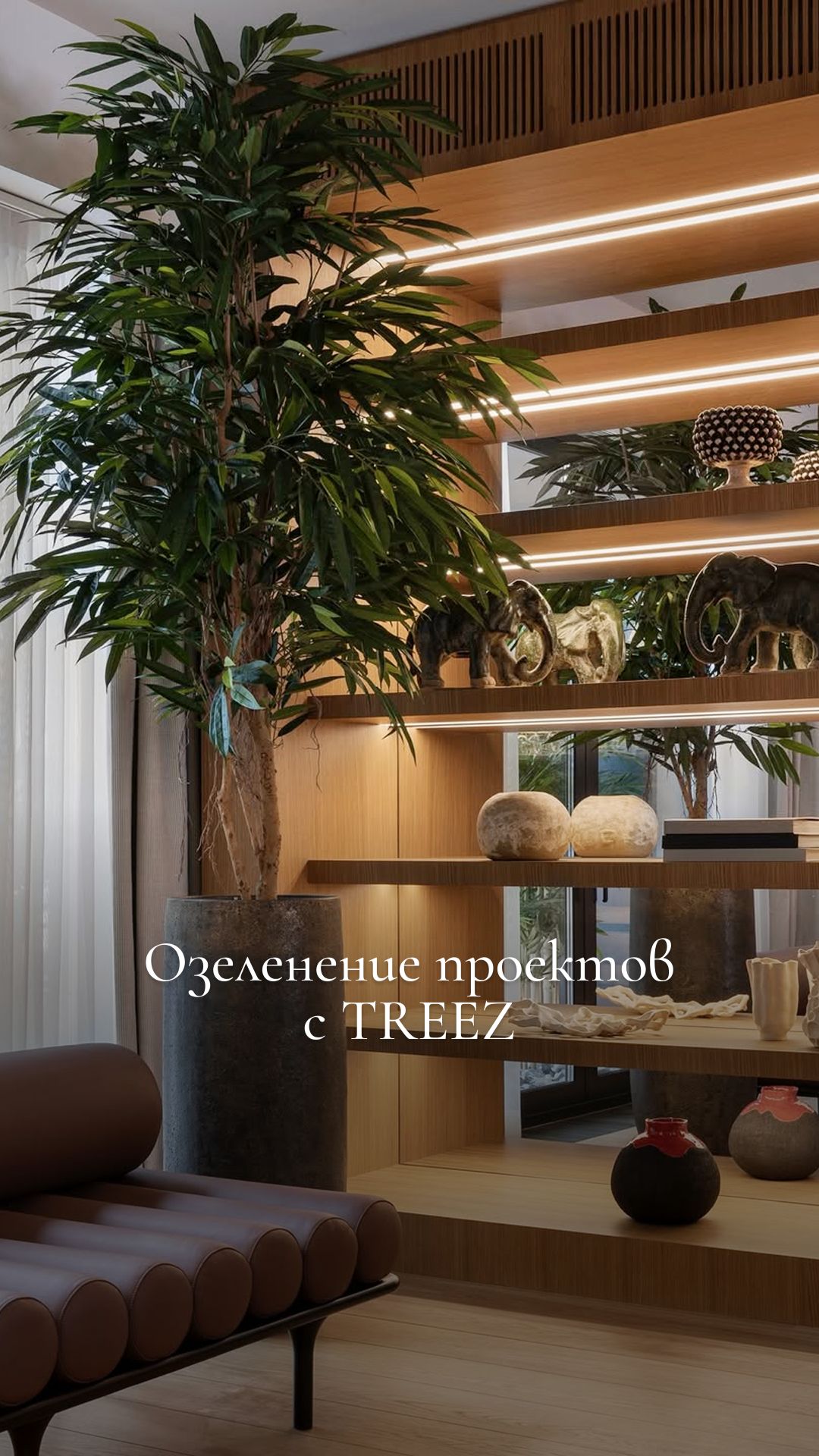 Точки притяжения в проекте