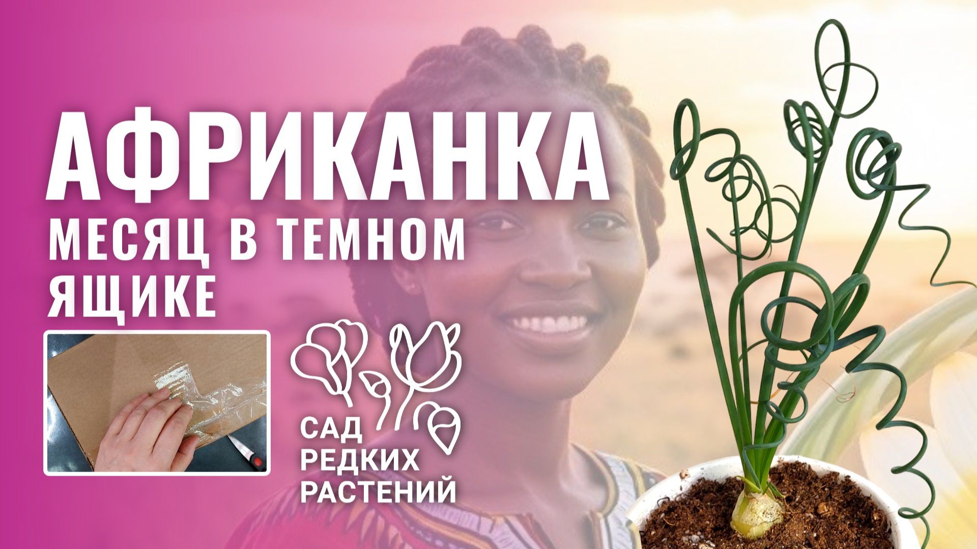 Африканская гостья месяц в темном ящике. Альбуку вернули с Озон