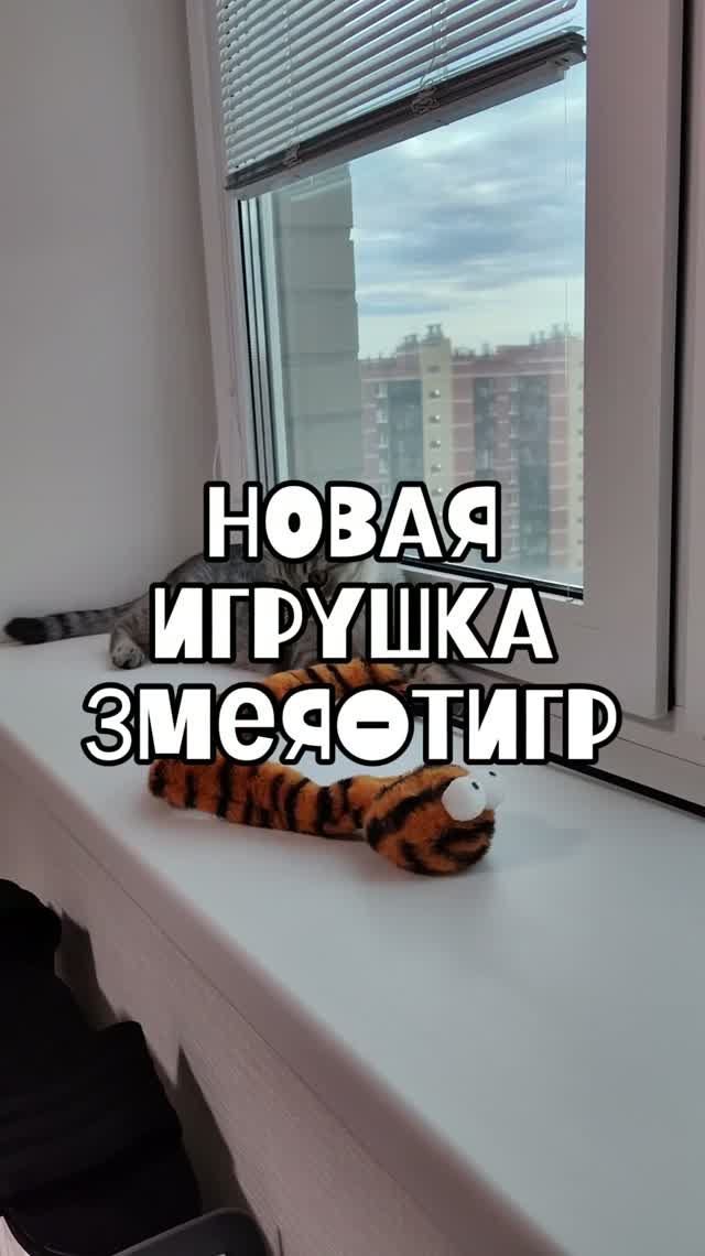 Новая игрушка Змея-Тигр
