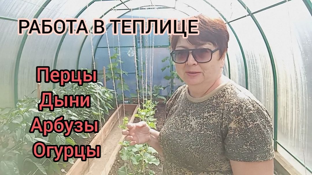 ЧТО СОБИРАЮСЬ ДЕЛАТЬ В ТЕПЛИЦЕ АССОРТИ.26.06.26г