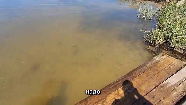 Светлояр встречает не водой, а душой. Прогулка и купание в озере