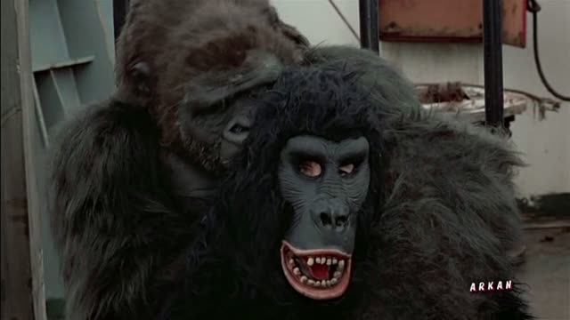 Суета вокруг дивана