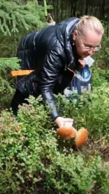 Белые грибы