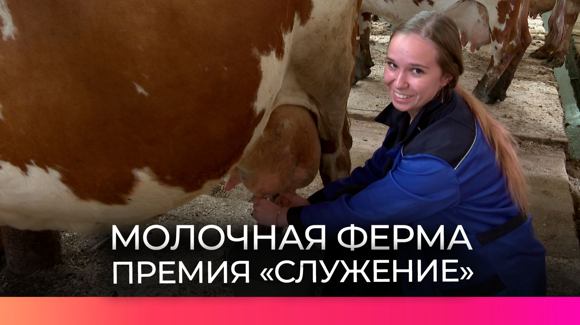 Молочная ферма из Мошенского округа вошла в число победителей Всероссийской премии «Служение»