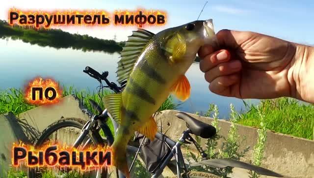 ПРОВЕРКА МИФА ЧТО ОКУНЬ НАЧИНАЕТ КЛЕВАТЬ С 04-00, РАЗРУШИТЕЛЬ МИФОВ Автор фильма Александр Самарин.