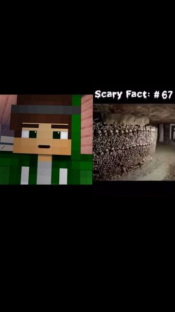 Scary fact number 67 #animation #minecraft