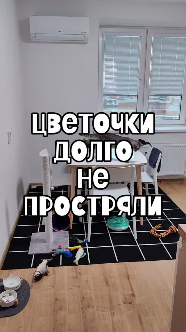 Цветочки долго не простояли