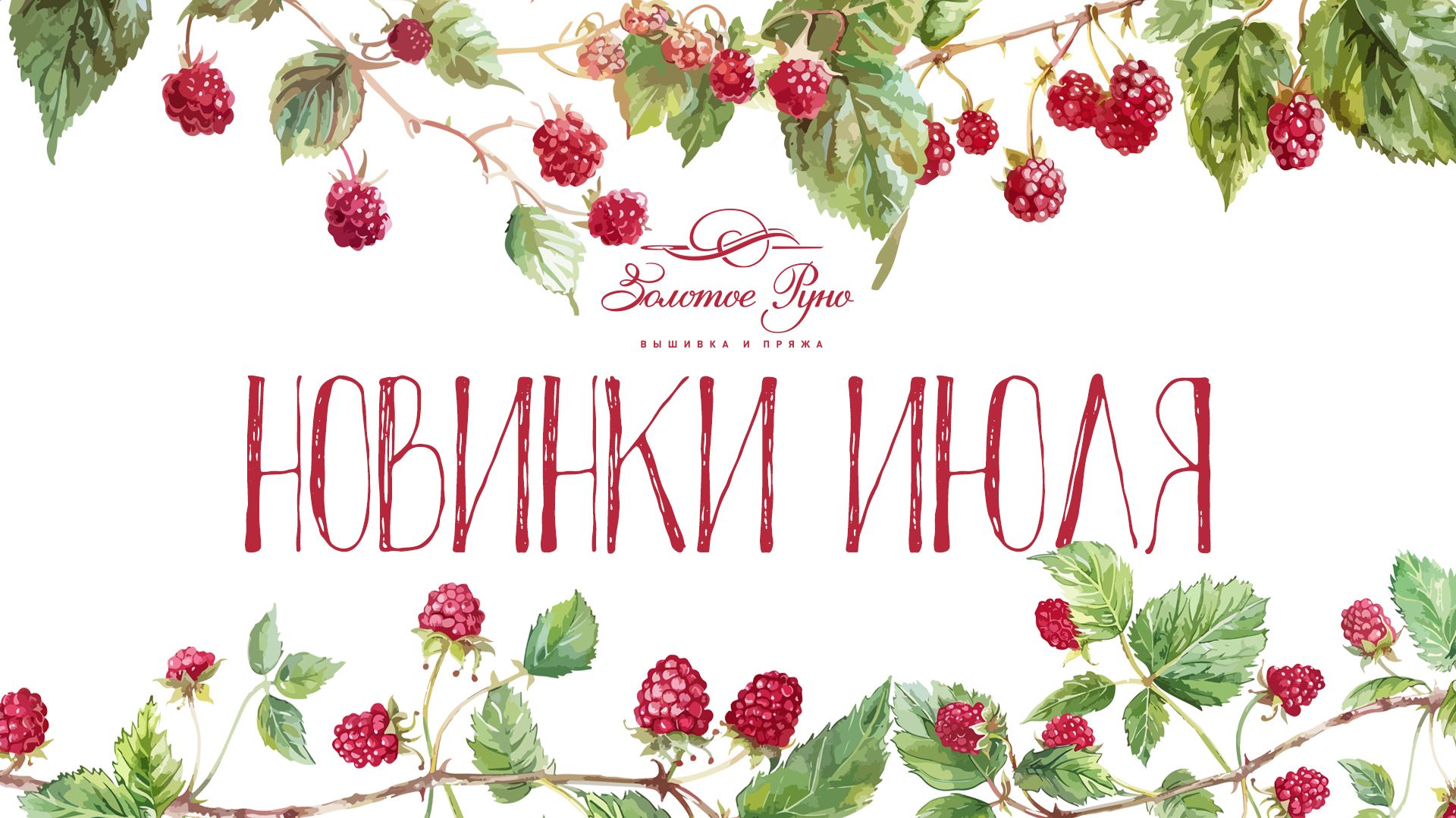 Новинки месяца
