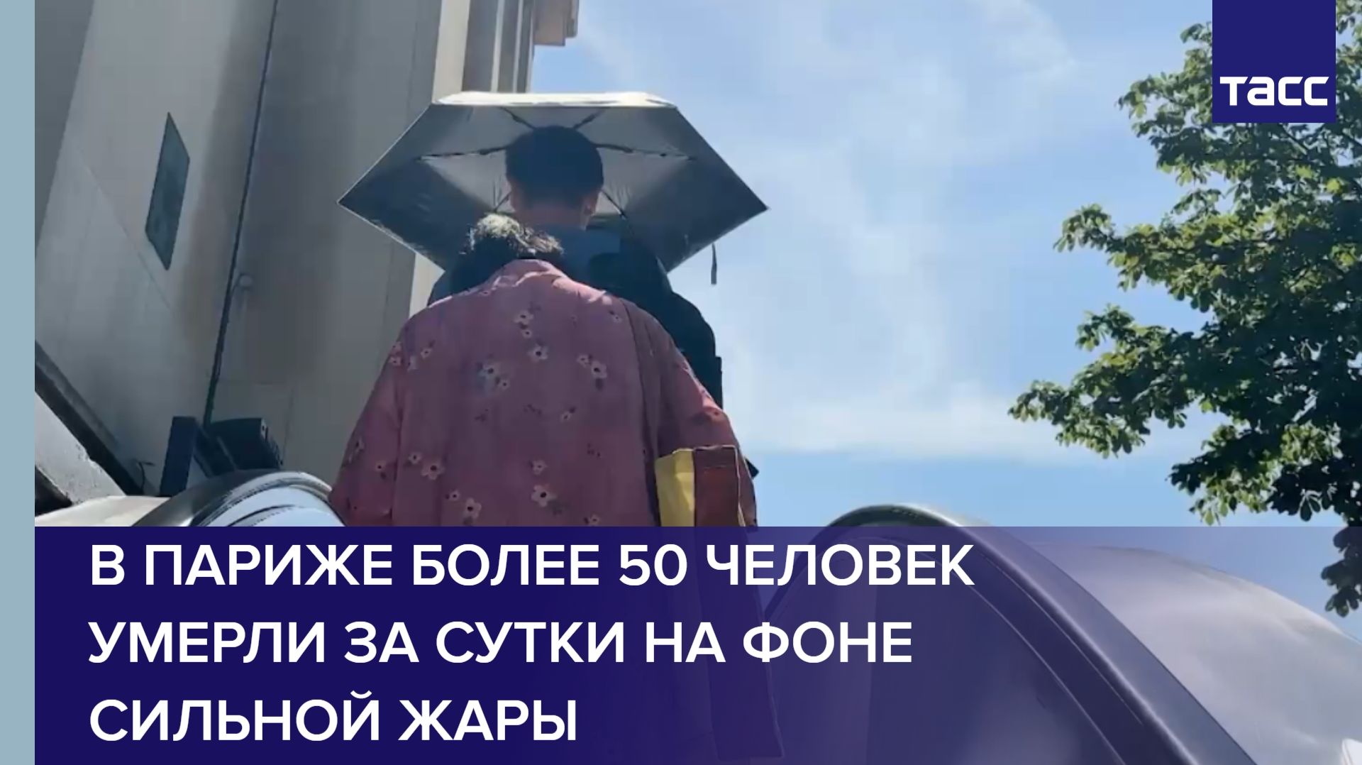 В Париже более 50 человек умерли за сутки на фоне сильной жары