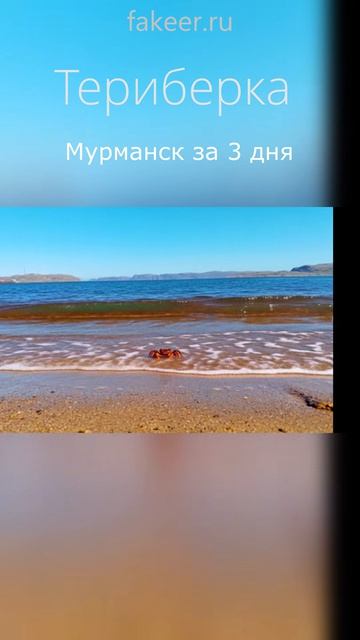 Териберка - музыкальный клип - Мурманск за 3 дня - катер  #мурманск #путешествия  #териберка #туризм