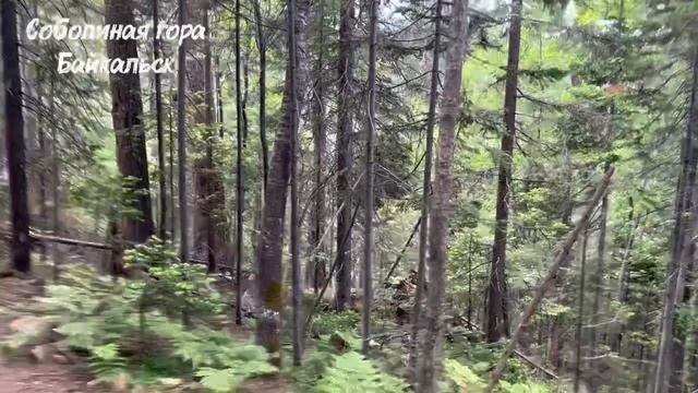 Байкальск / Соболиная тропа
