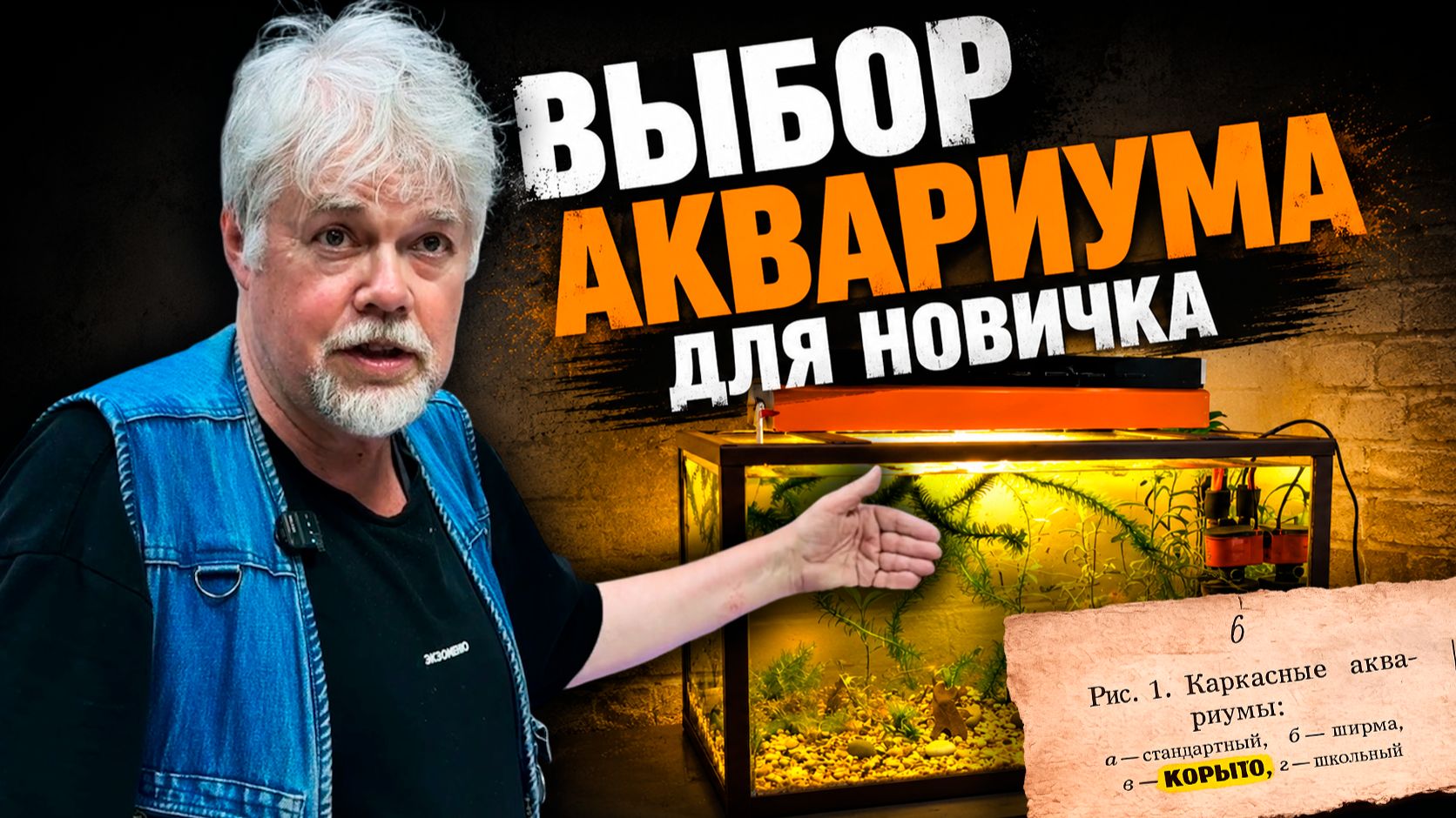 Выбор аквариума для новичка | Аквариумные истории из ЭКЗОМЕНЮ №178