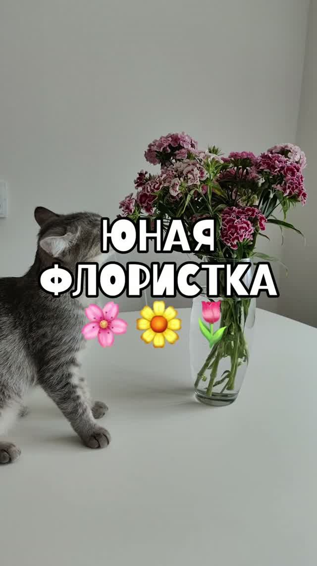 Юная флористка
