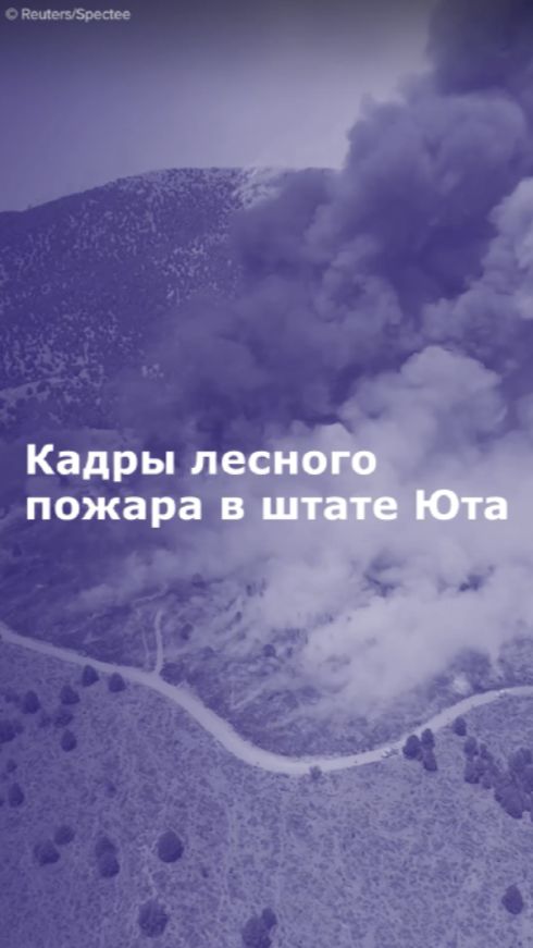 Кадры лесного пожара в штате Юта