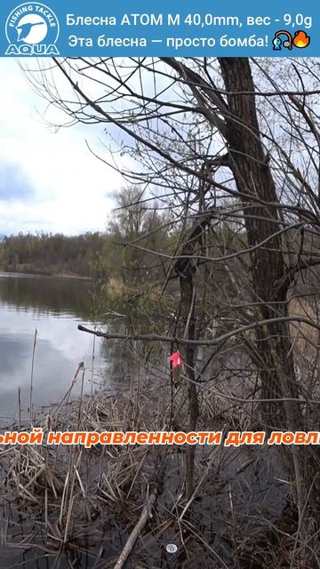 🎣 Блесна-колебалка AQUA АТОМ-M — легендарная классика для ловли хищника!