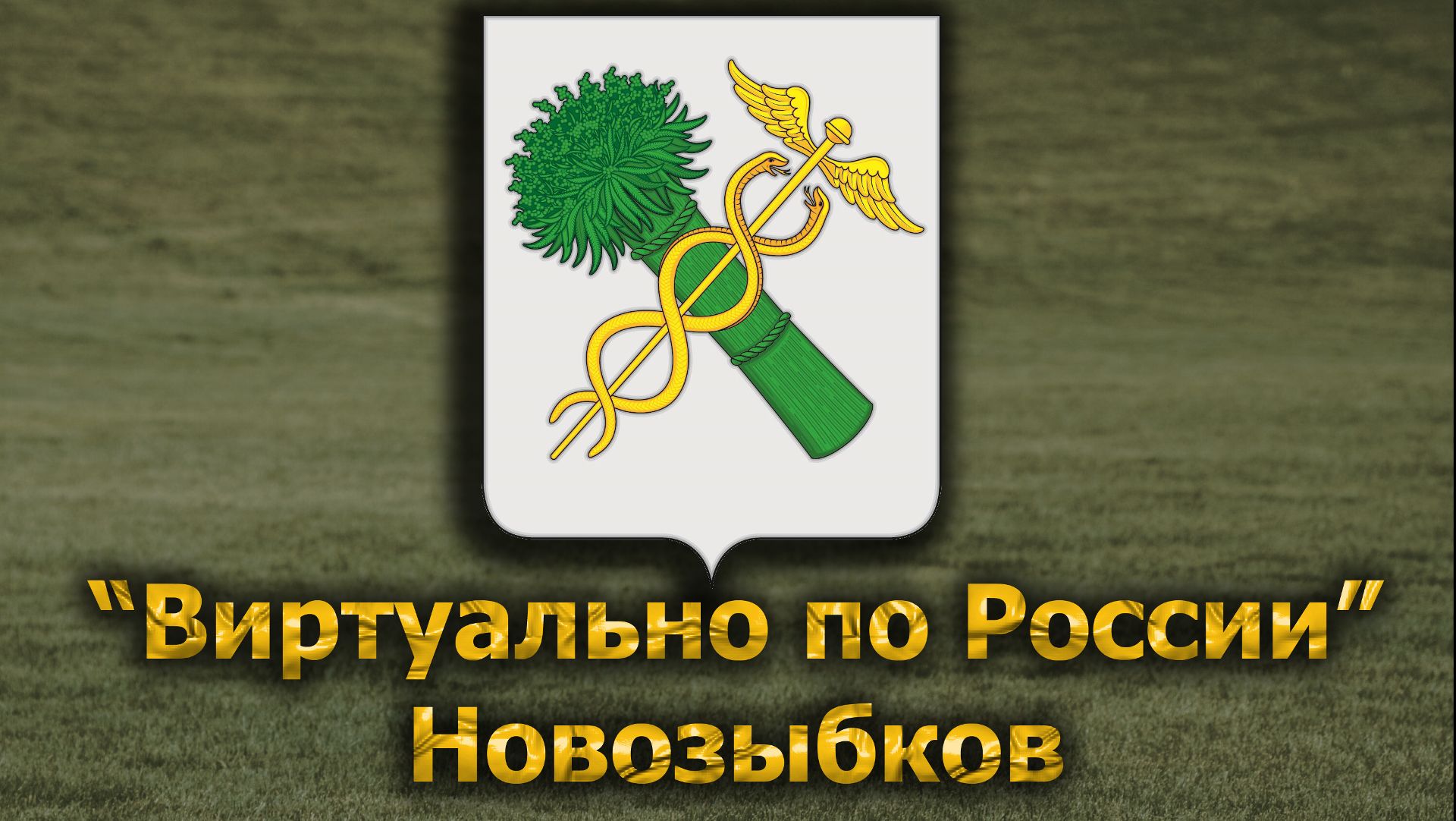 Виртуально по России. 673.  город Новозыбков