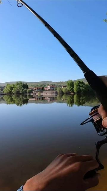СУДАКА НА ОТВОДНОЙ В КРАСИВЕЙШЕМ МЕСТЕ НА РЕКЕ СОК🔥🦈 САМАРА, ВОЛГА