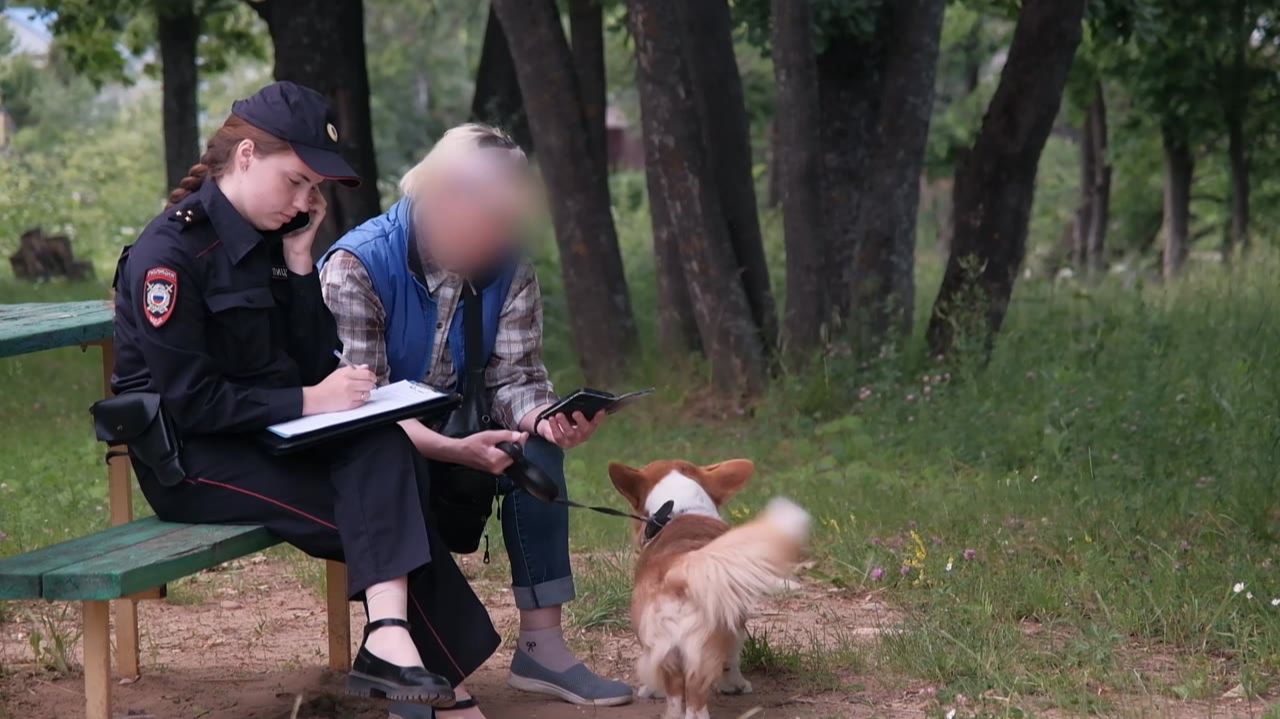 В поле зрения – владельцы собак