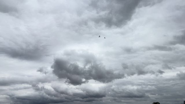 Самые простые летающие модели из потолочки 3 мм