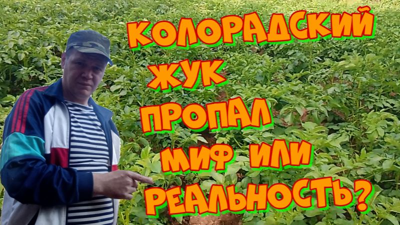 Дачные хитрости полезные идеи
