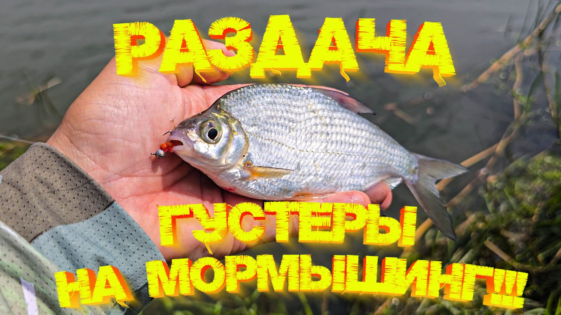 Мормышинг