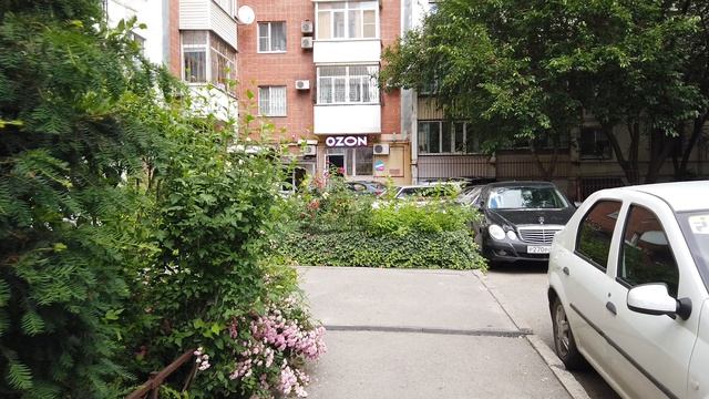 Ростов38