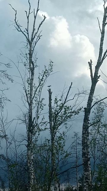 VID_20240603_185641