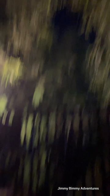 Сказочные Светлячки!