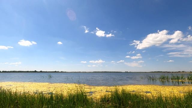 Гармония жизни. 😊