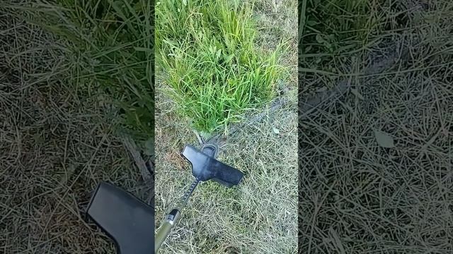 Полезная штука для сада