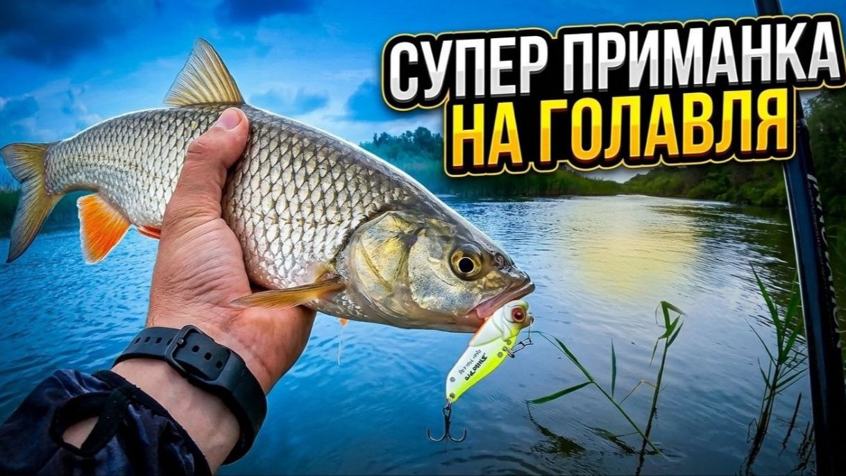 Голавль на Дону не устоял против этой приманки! Бешенные поклевки голавля!