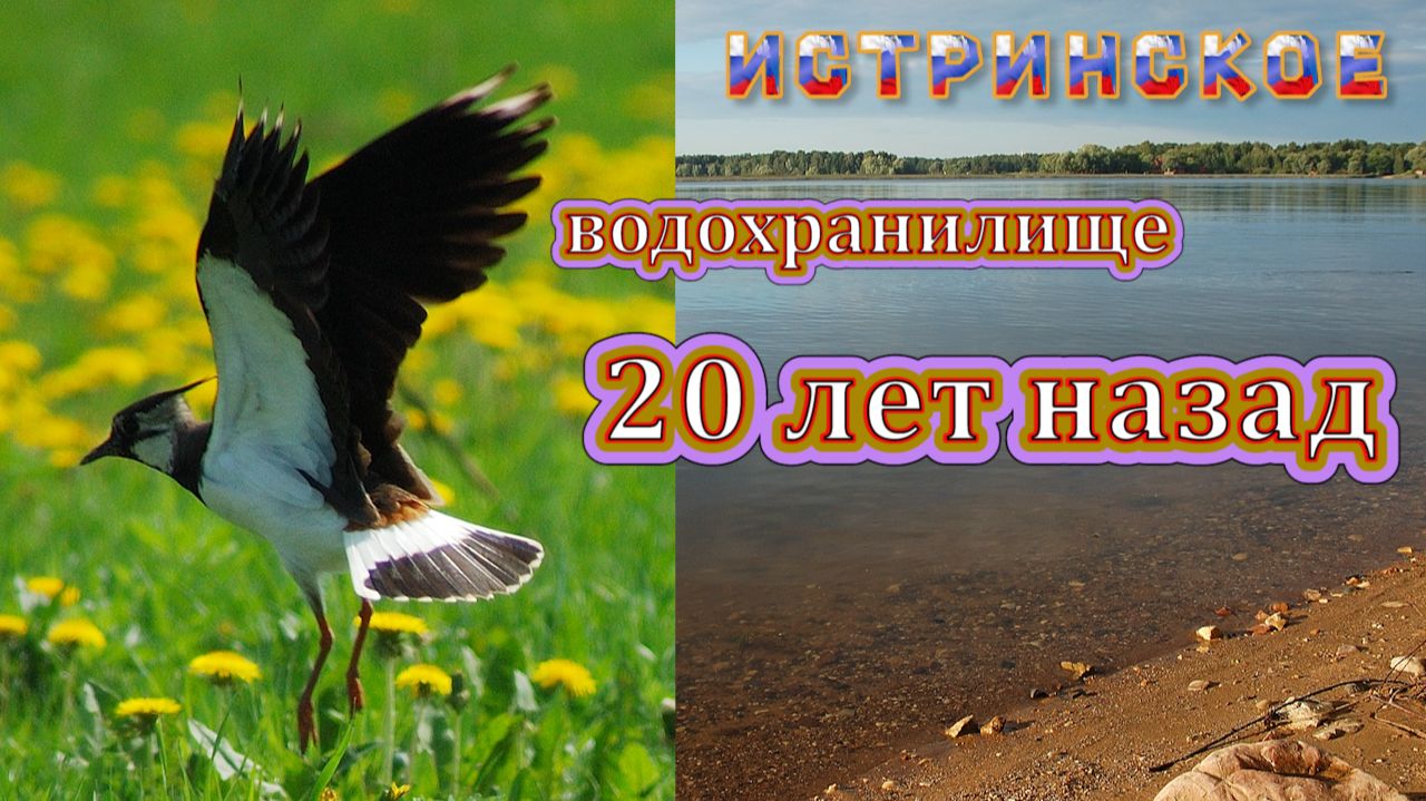Истринское водохранилище 20 лет назад.