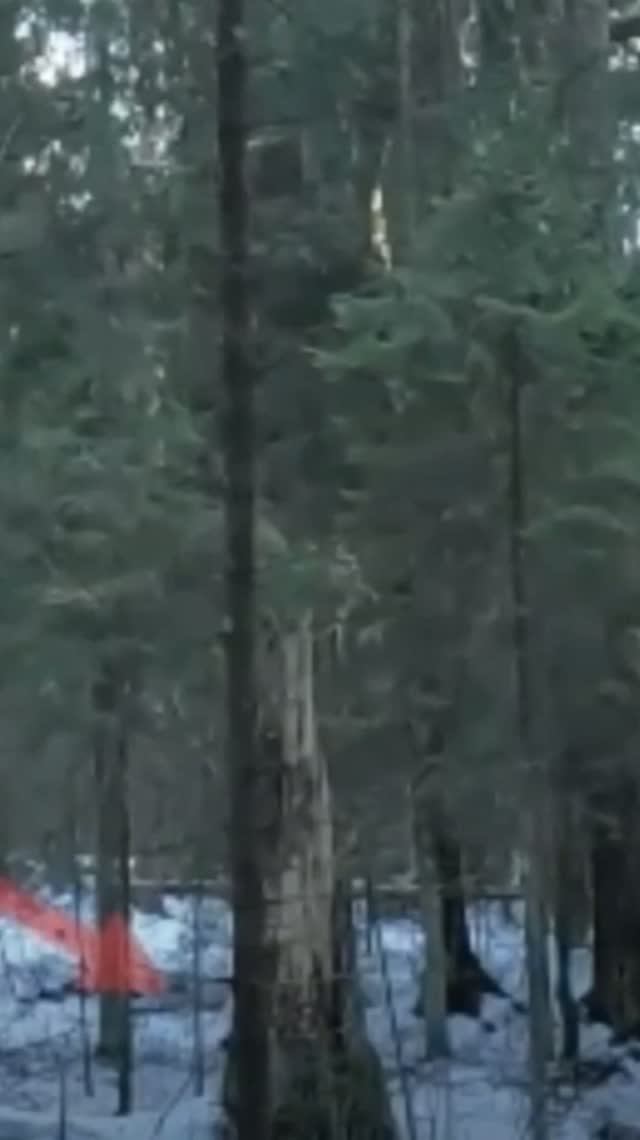 Рэйк