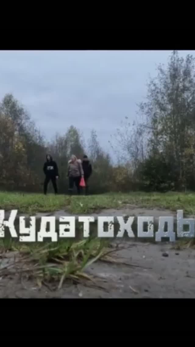 Аномальный лес