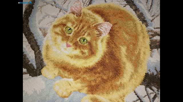 Вышивка Рыжий Кот