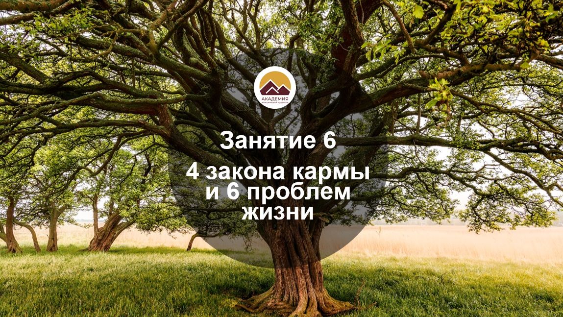 6 разбор АСI 1 Новосибирск 17 июня 2026