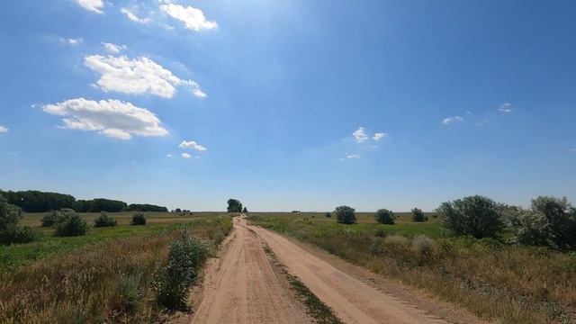На крыльях мечты.😊