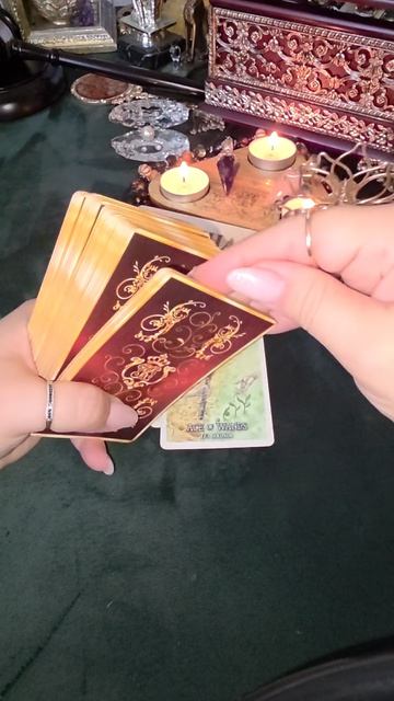 🔥Через 3 дня старт! Бесплатный интенсив „Пробуждение Таро“ — успей занять место!🔥