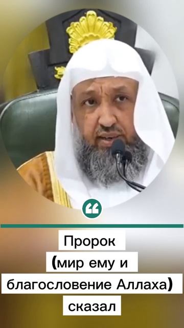 Заступничество в день суда Шейх Хасан Бухари → 👤 #ELM_YOLU_RUSSIA_