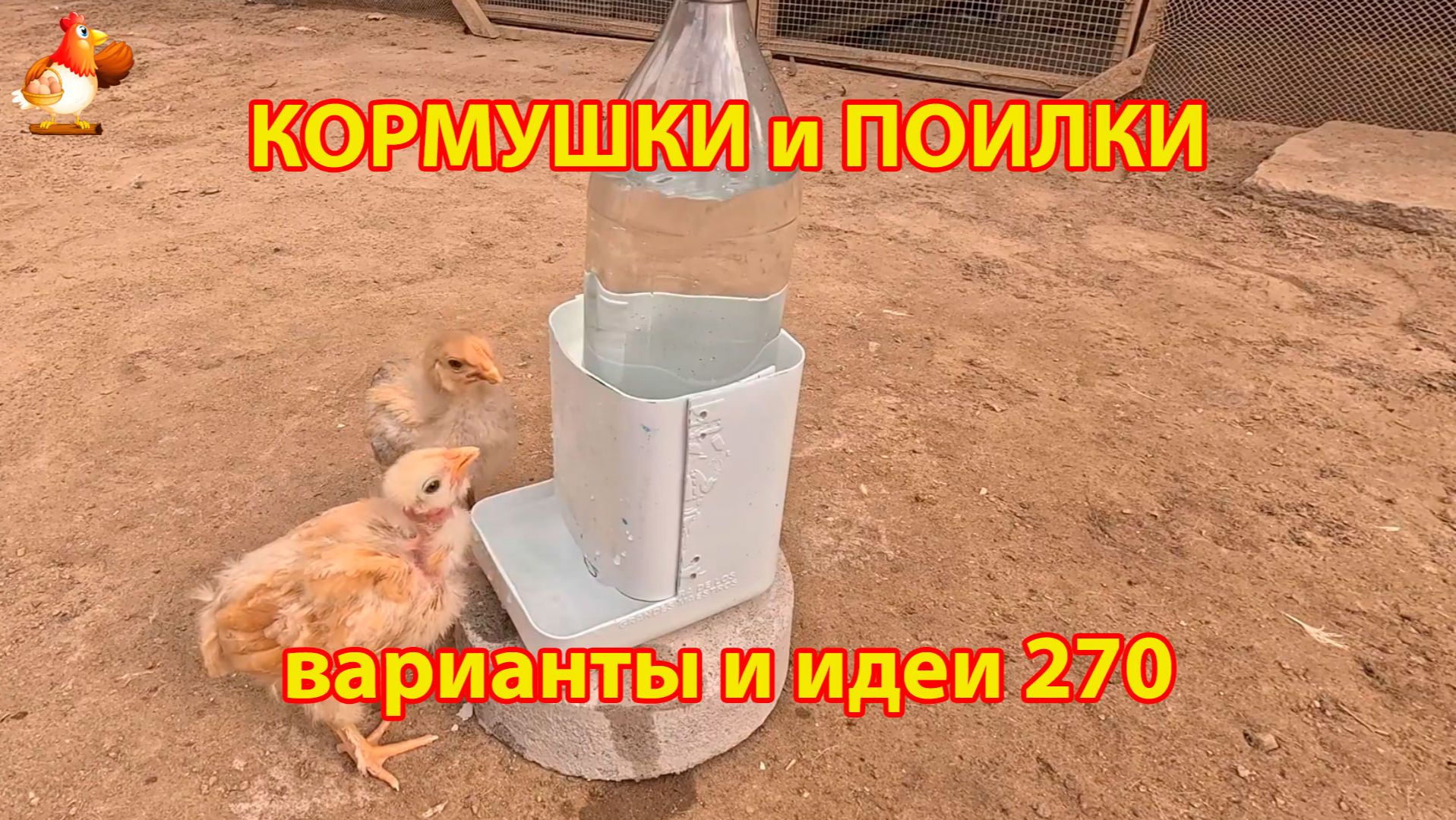 Кормушки и поилки для кур и уток