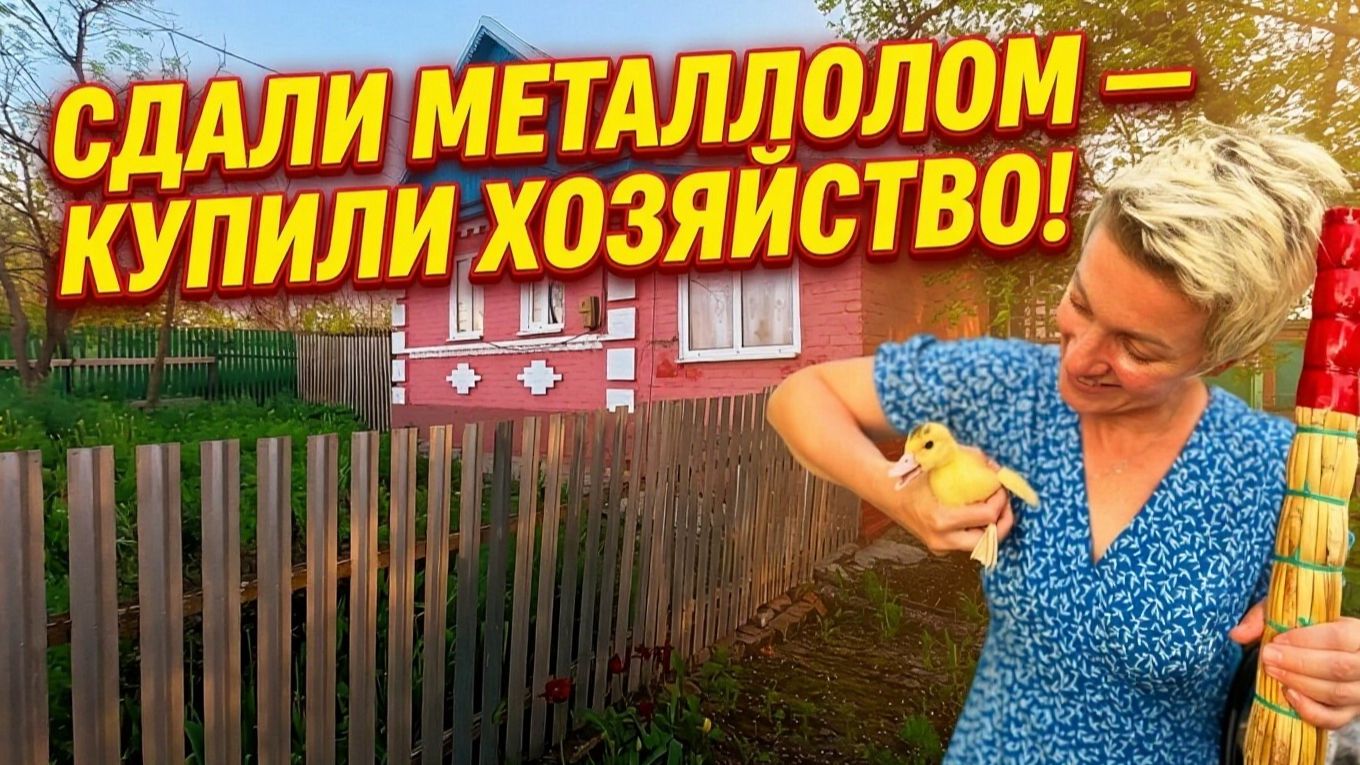 ⚫️МЫ ЖИВЁМ в ДЕРЕВНЕ и постепенно ЗАВОДИМ ХОЗЯЙСТВО