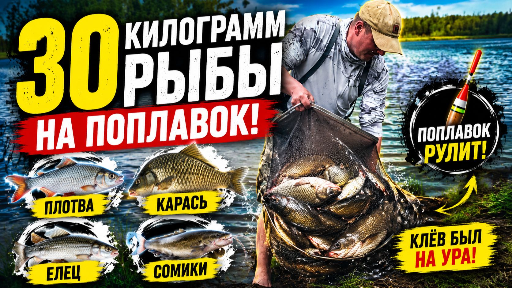 Клёв рыбы под заброс! Плотва, карась и елец встали на точку! 30 кг за утро | Рыбалка на поплавок