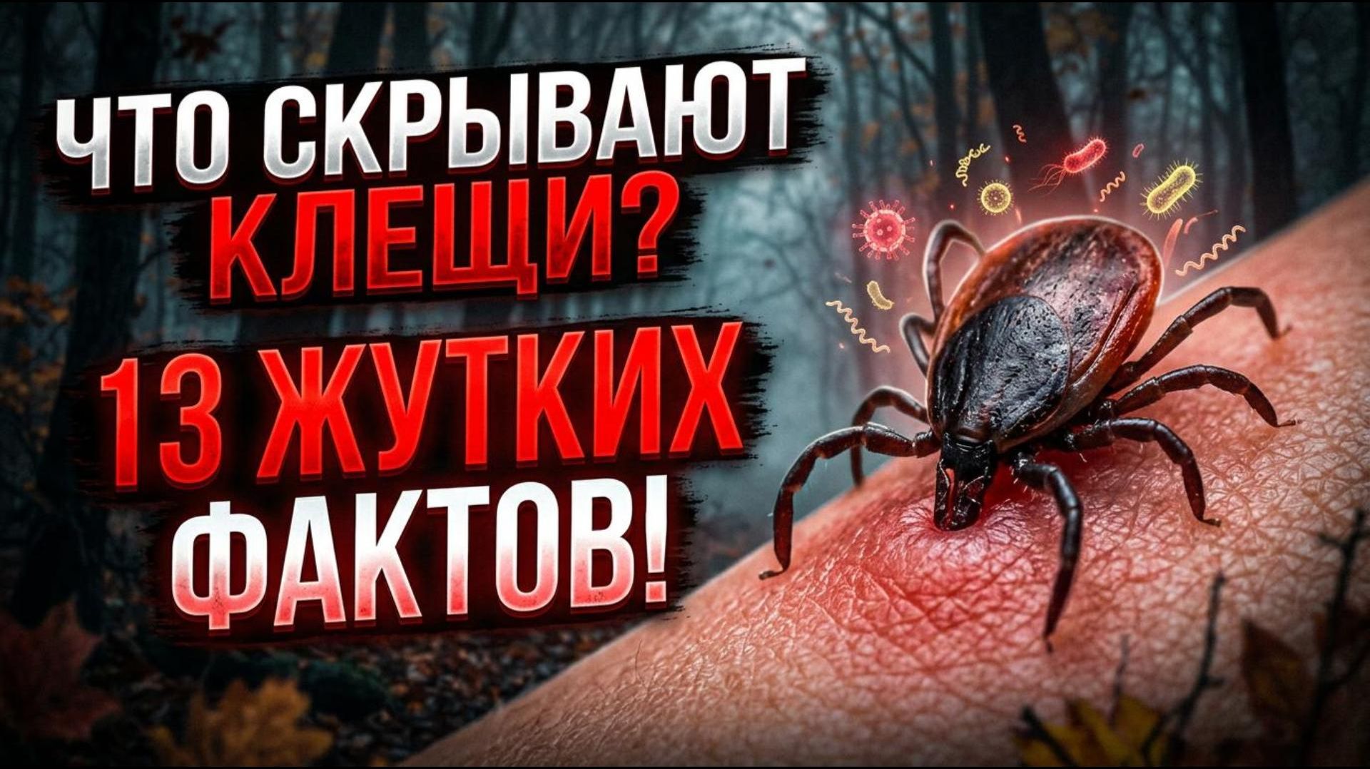 ЧТО СКРЫВАЮТ КЛЕЩИ? 13 жутких фактов!