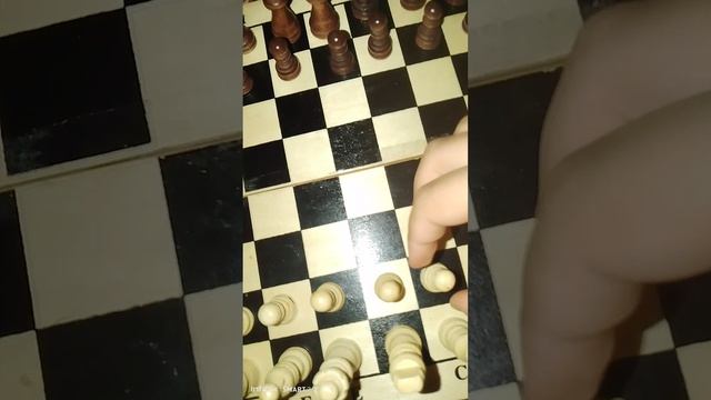 как научиться играть в шахматы?