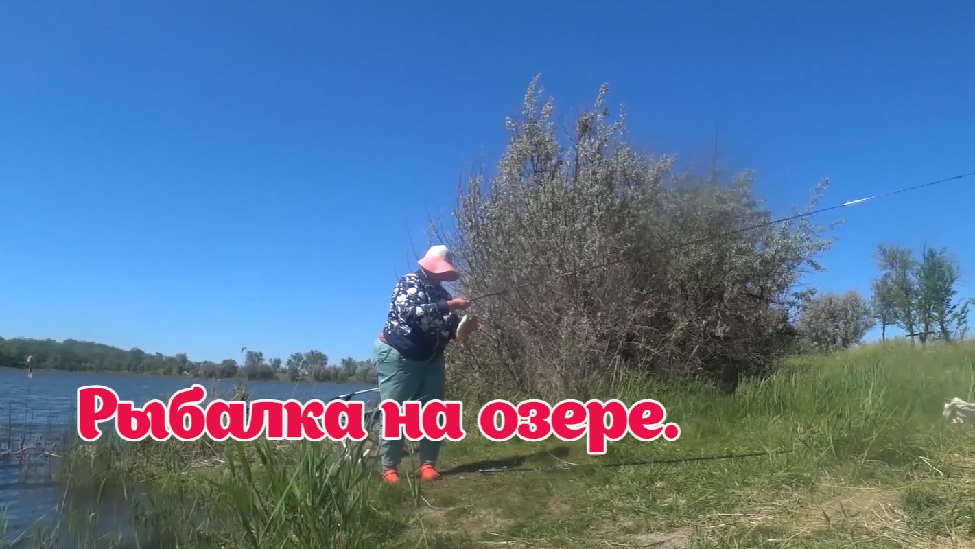 РЫБАЛКА НА ОЗЕРЕ. КАРПОВАЯ УДАЧА