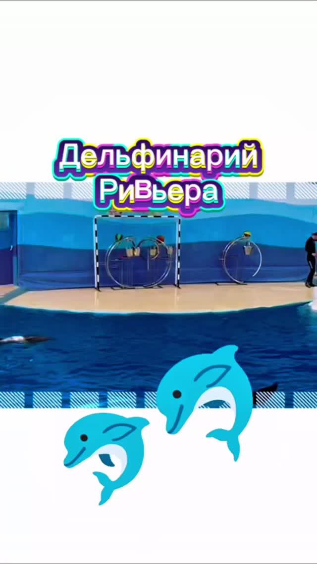 🐬 ДЕЛЬФИНАРИЙ РИВЬЕРА.🐬🐬